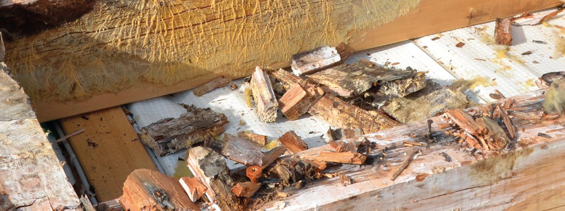 Avoiding moisture damage | pro clima international